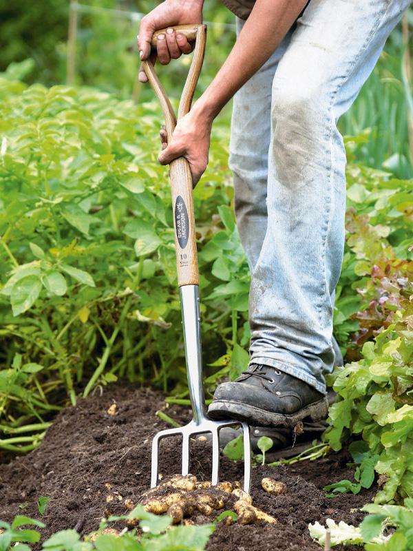 Garden Forks, Spades & Rakes | Argos