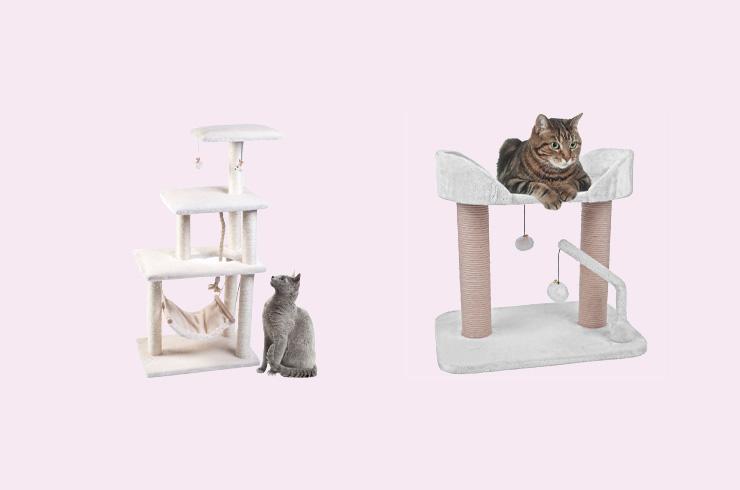 Cat | Cat Accessories & Kitten Supplies | Argos