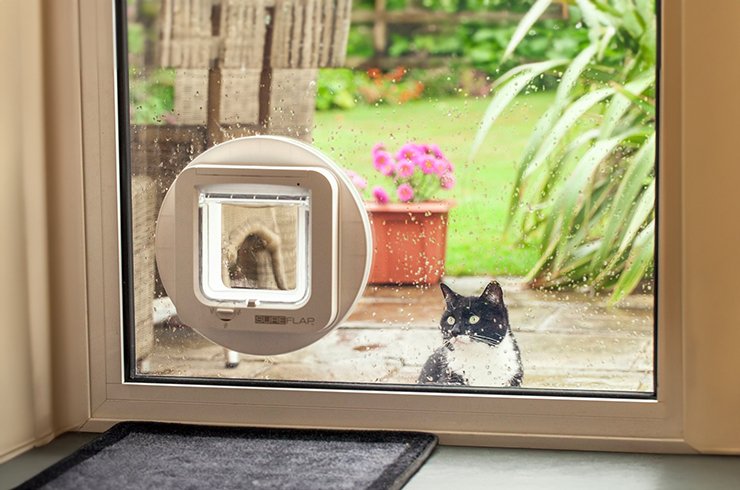 Pet Supplies | Pet Shop | Argos