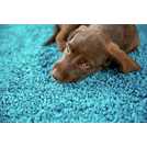 Buy Buddy Plain Circle Cut Pile Rug - 100x100cm - Teal | Rugs | Argos