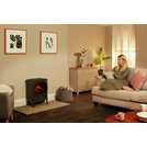 Buy Dimplex Evandale 2kW Optimyst Electric Stove Fire | Electric fires ...
