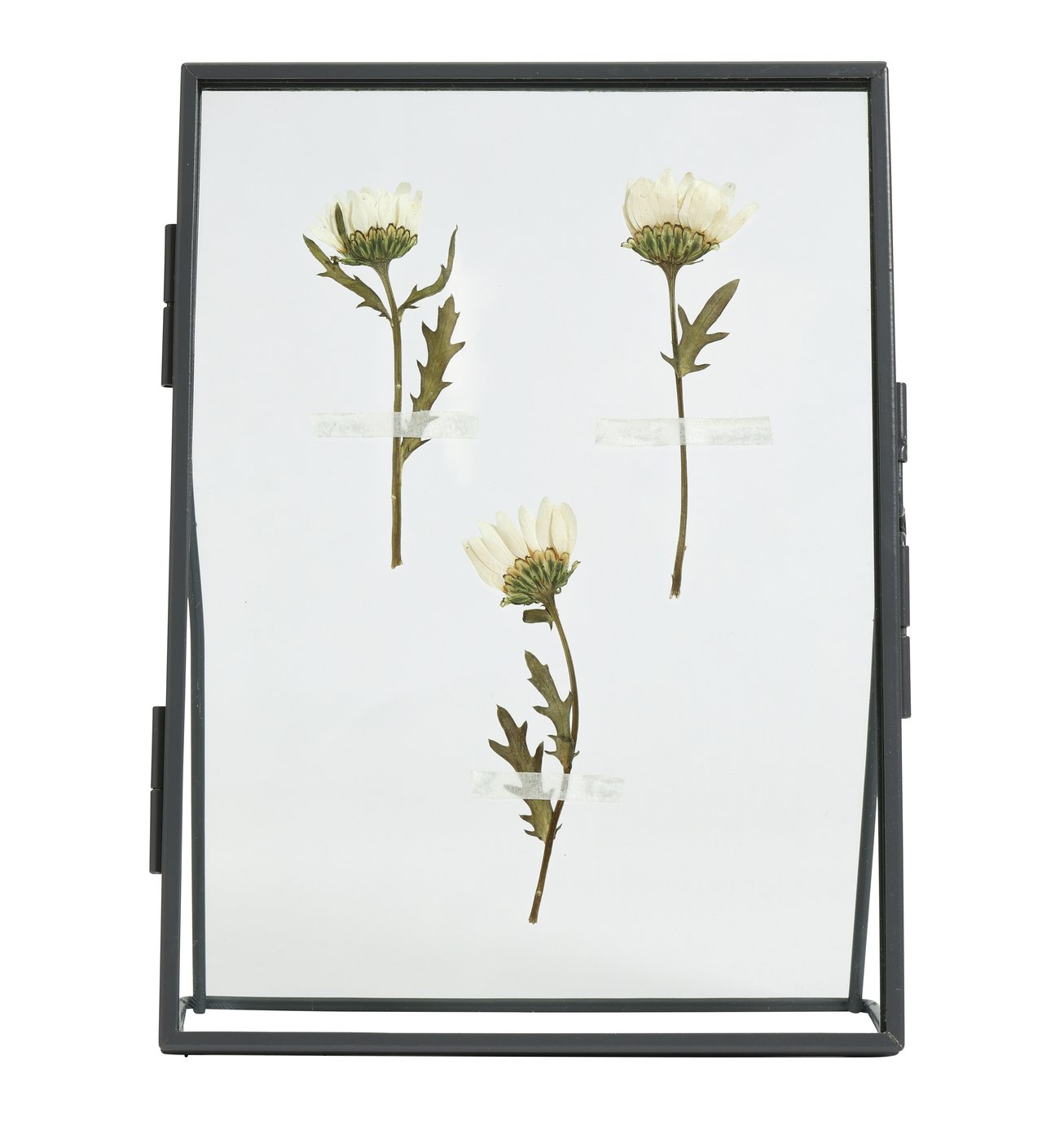 Photo Frames | Multi Aperture & Large Picture Frames | Argos