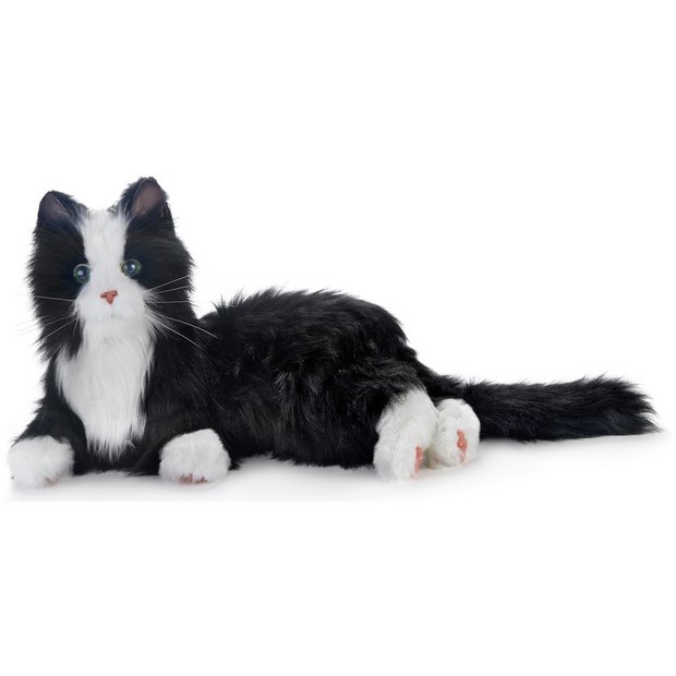 Buy Joy For all Companion Pet Cat Tuxedo Support cushions and pads Argos