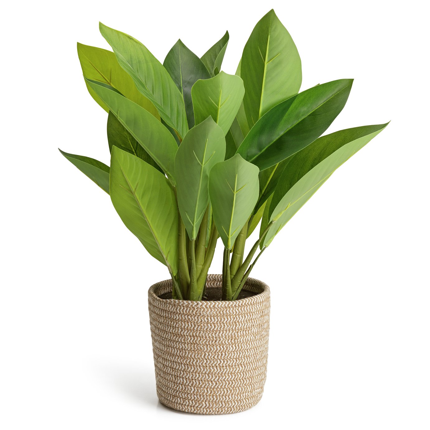 Buy Artificial Flowers, Plants and Trees Online | Argos