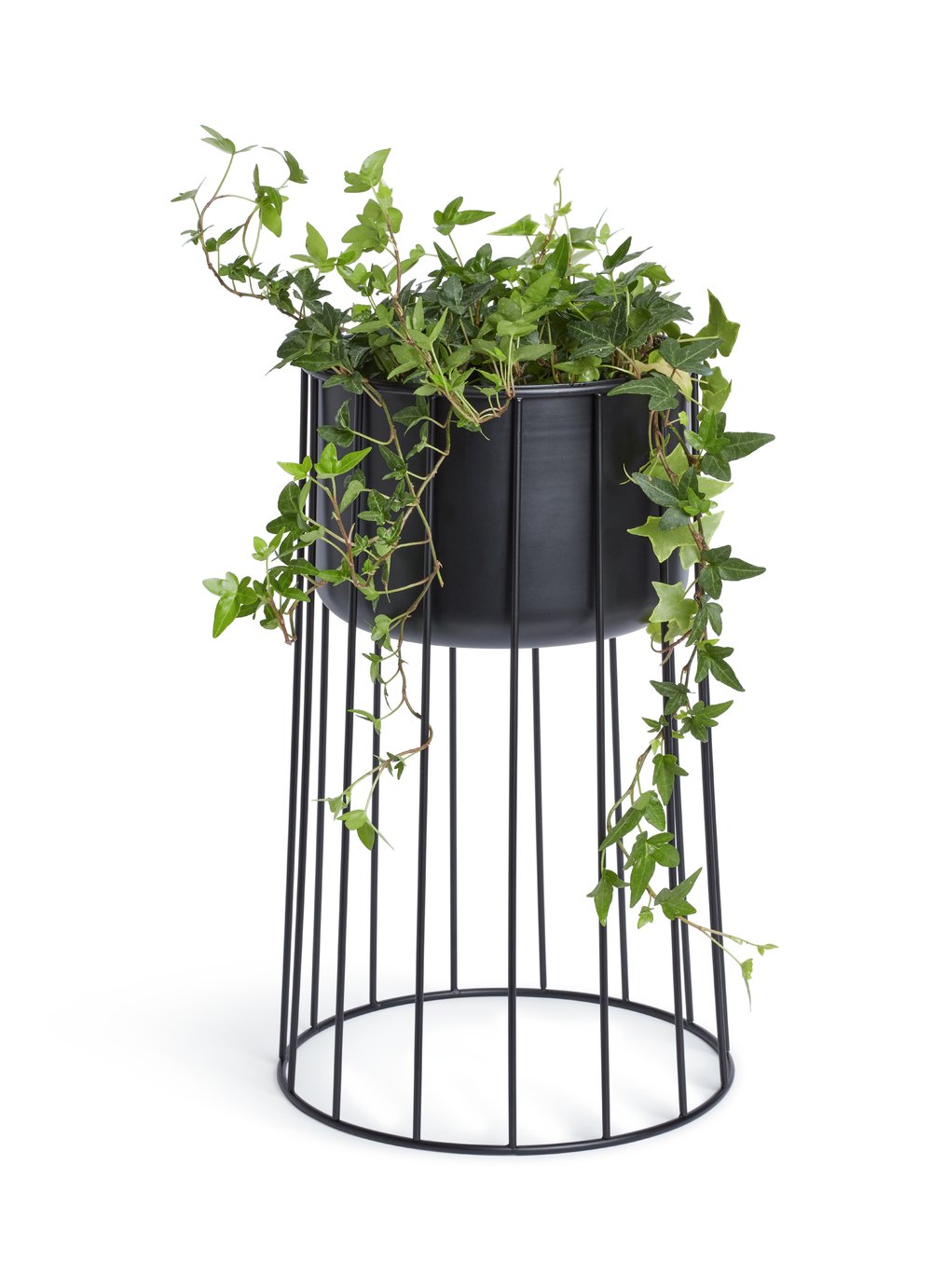 Indoor Plants Pots & Planters | Argos