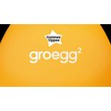 Buy The Gro Company Gro Egg 2 | Baby health | Argos